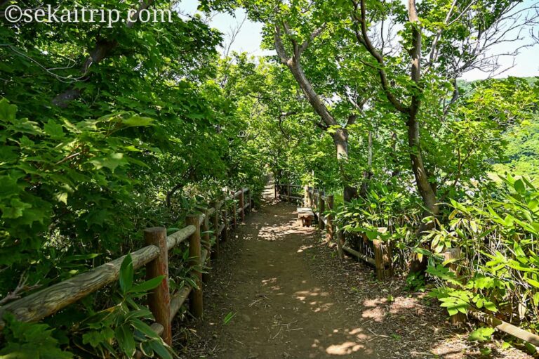 黄金岬は積丹ブルーの穴場スポット！行き方や展望台から見た絶景とは？ | 世界トリップ