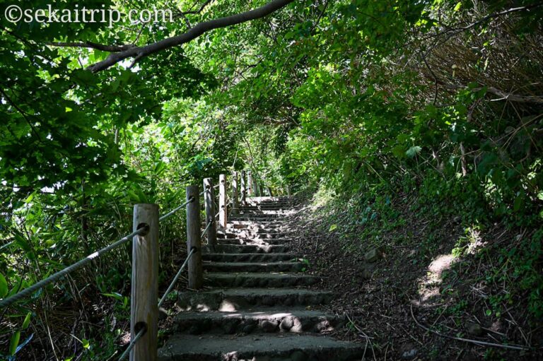 黄金岬は積丹ブルーの穴場スポット！行き方や展望台から見た絶景とは？ | 世界トリップ
