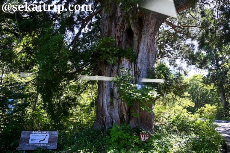 室堂から五色ヶ原、五色ヶ原から雷鳥沢へ！熊の糞を発見した場所とは？ | 世界トリップ