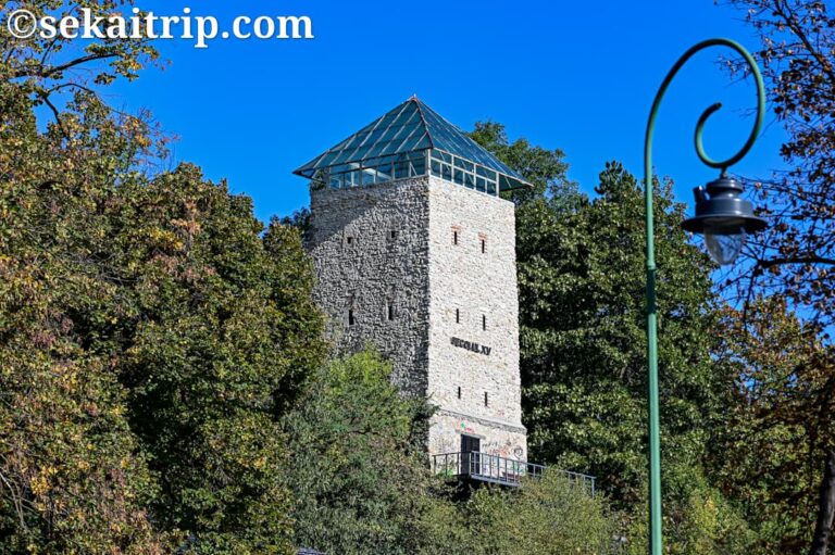 ブラショフで印象に残った観光地10選！絶景が見られる場所とは？ | 世界トリップ